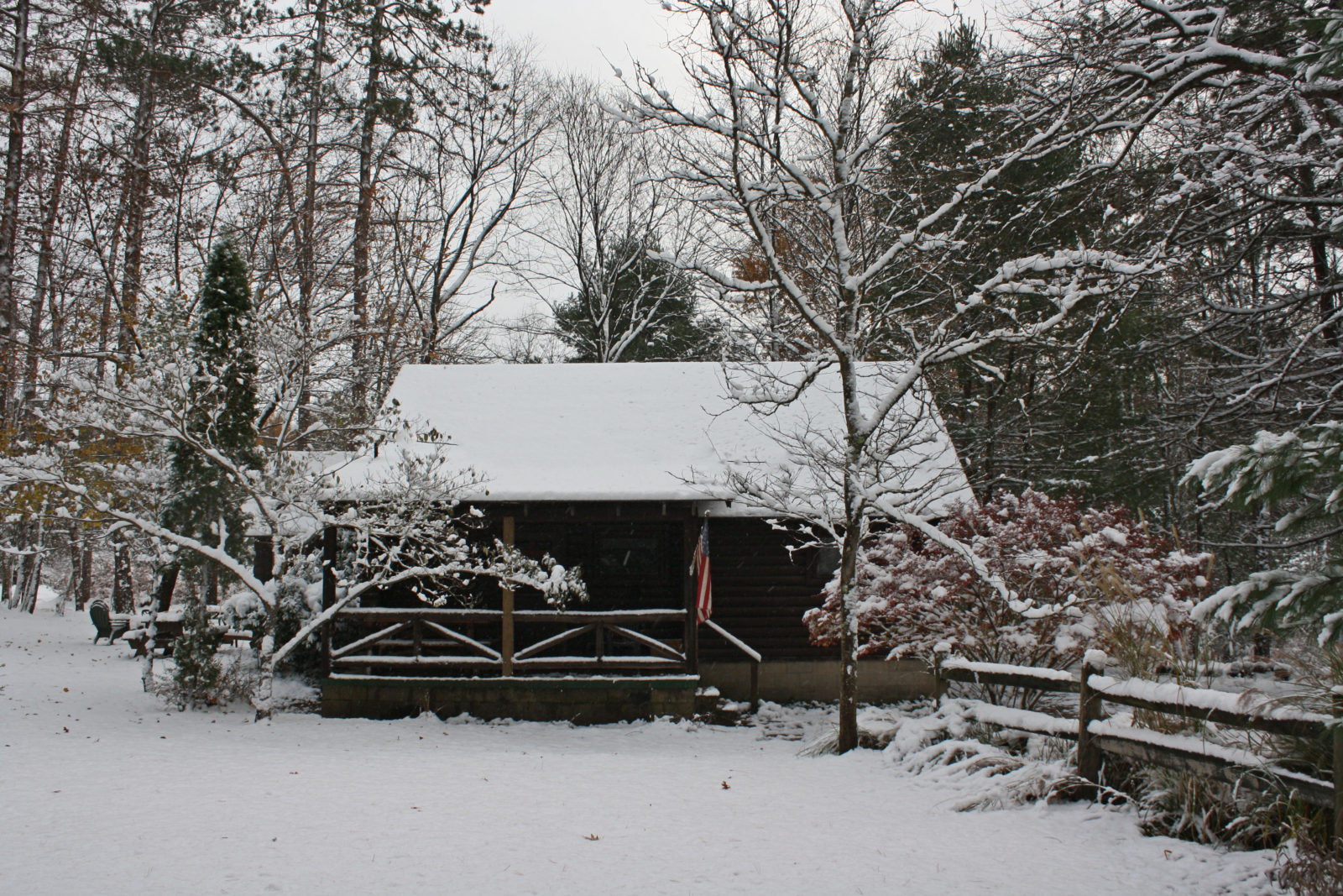Specials – Cook Forest Cabins